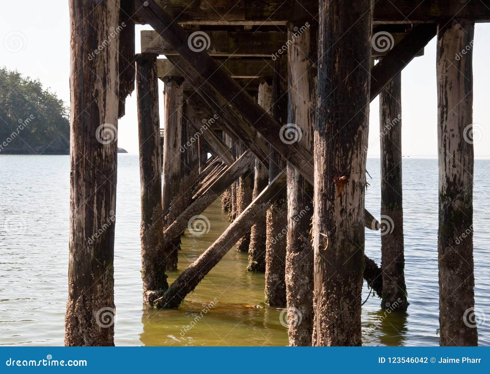 Pier Support Foundation and Water Stock Photo - Image of outdoors ...
