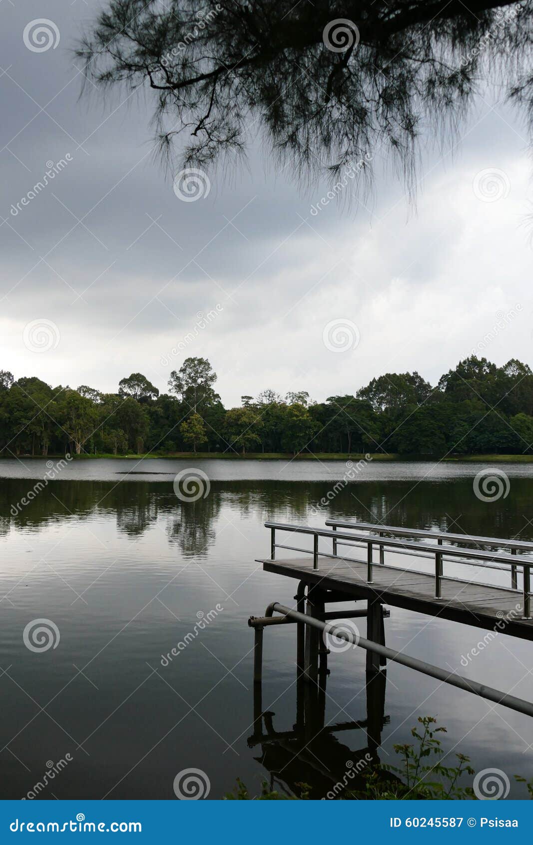Pier at the Waterside of the Pond in the Evening Stock Image - Image of ...
