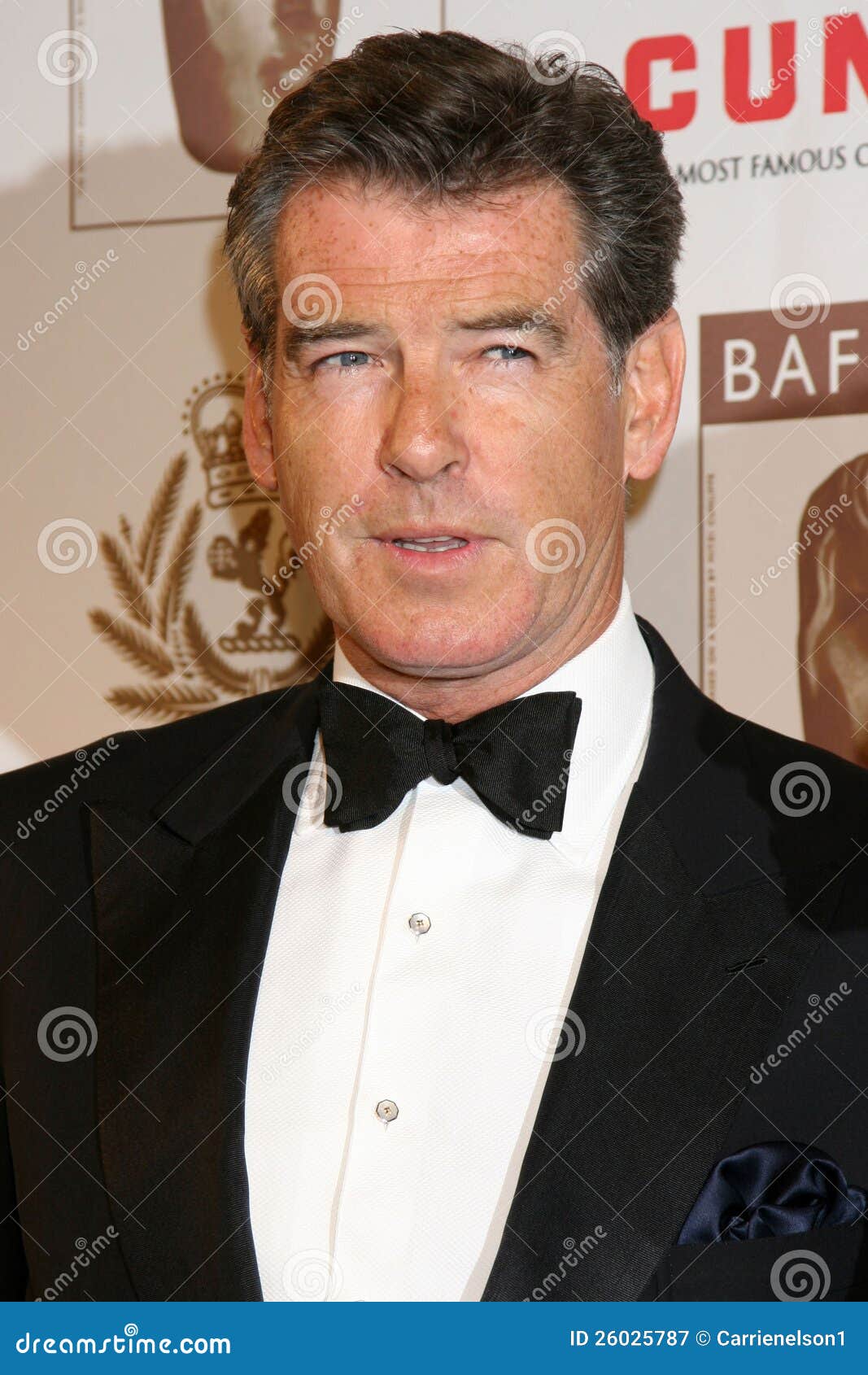 Pierce Brosnan editorial photography. Image of november - 26025787