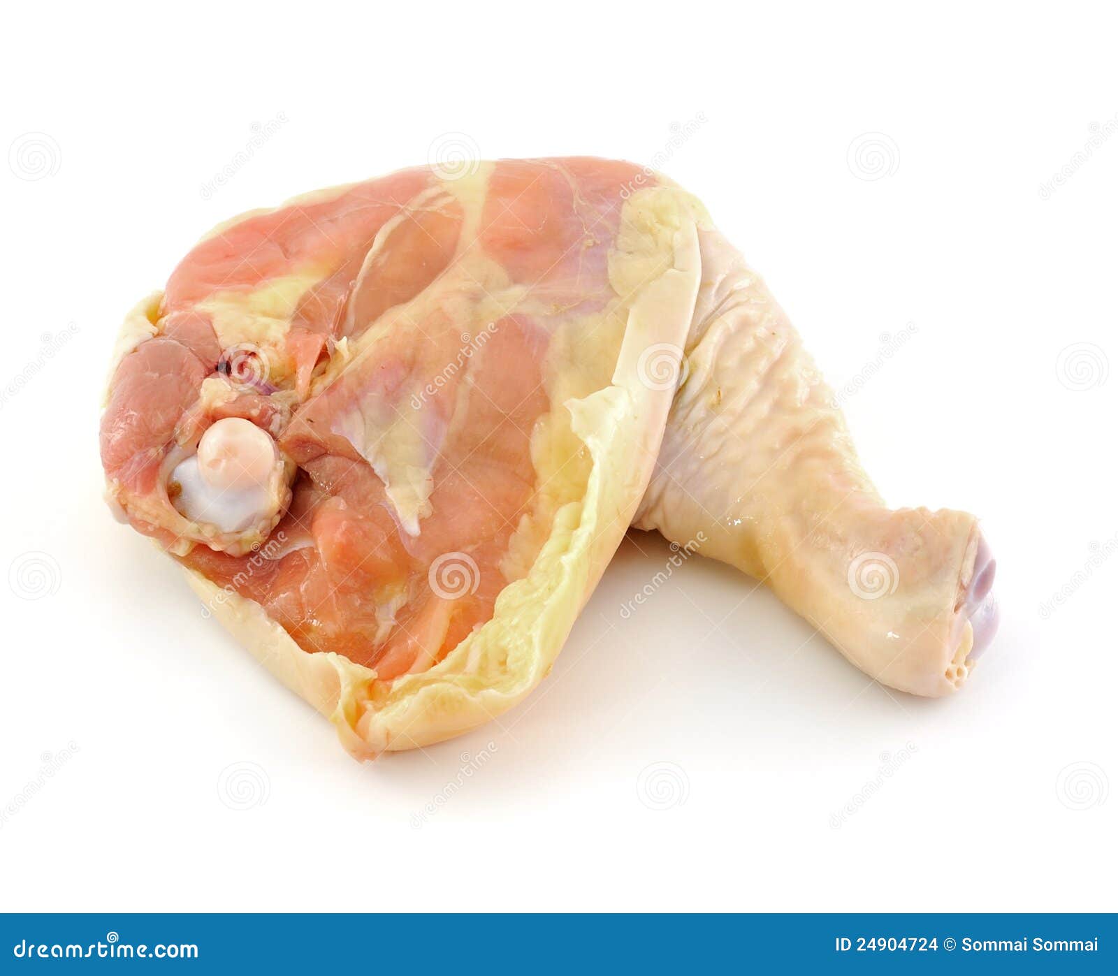 Pierna de pollo foto de archivo. Imagen de parrilla, poultry - 24904724