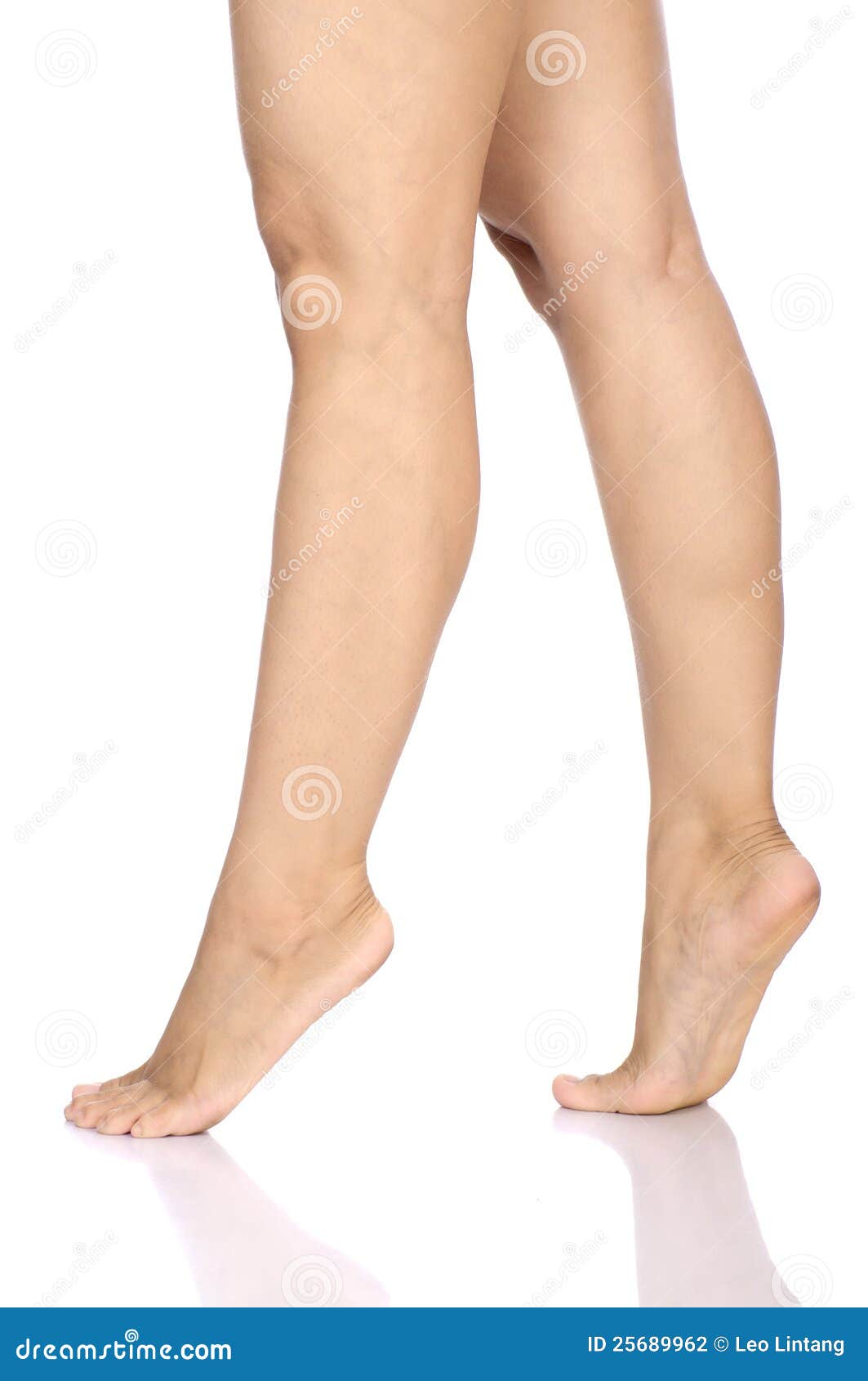 Piernas De La Mujer Fotografía de archivo - Imagen: 25689962