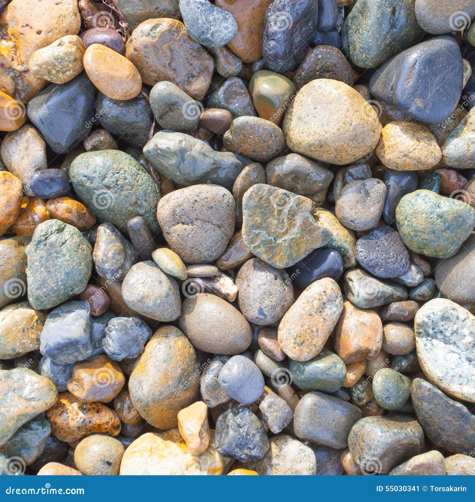 Pierre de caillou de mer image stock. Image du détail - 55030341