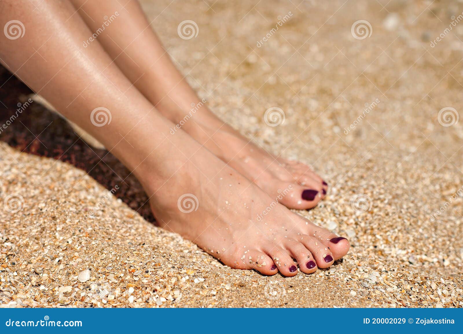 Pies De La Mujer En La Arena Imagen de archivo - Imagen de belleza ...