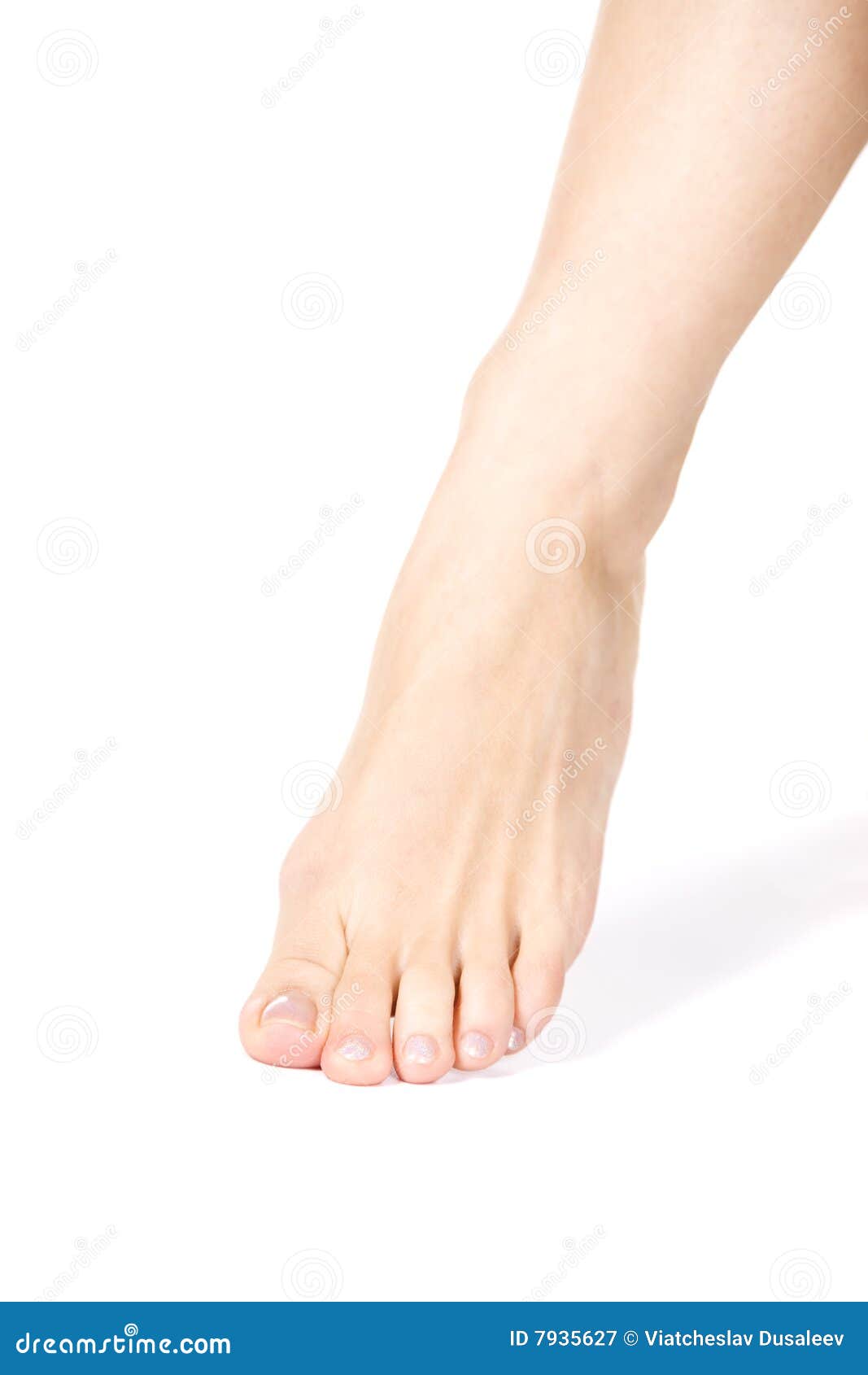 Pies hermosos de la mujer. imagen de archivo. Imagen de piel - 7935627