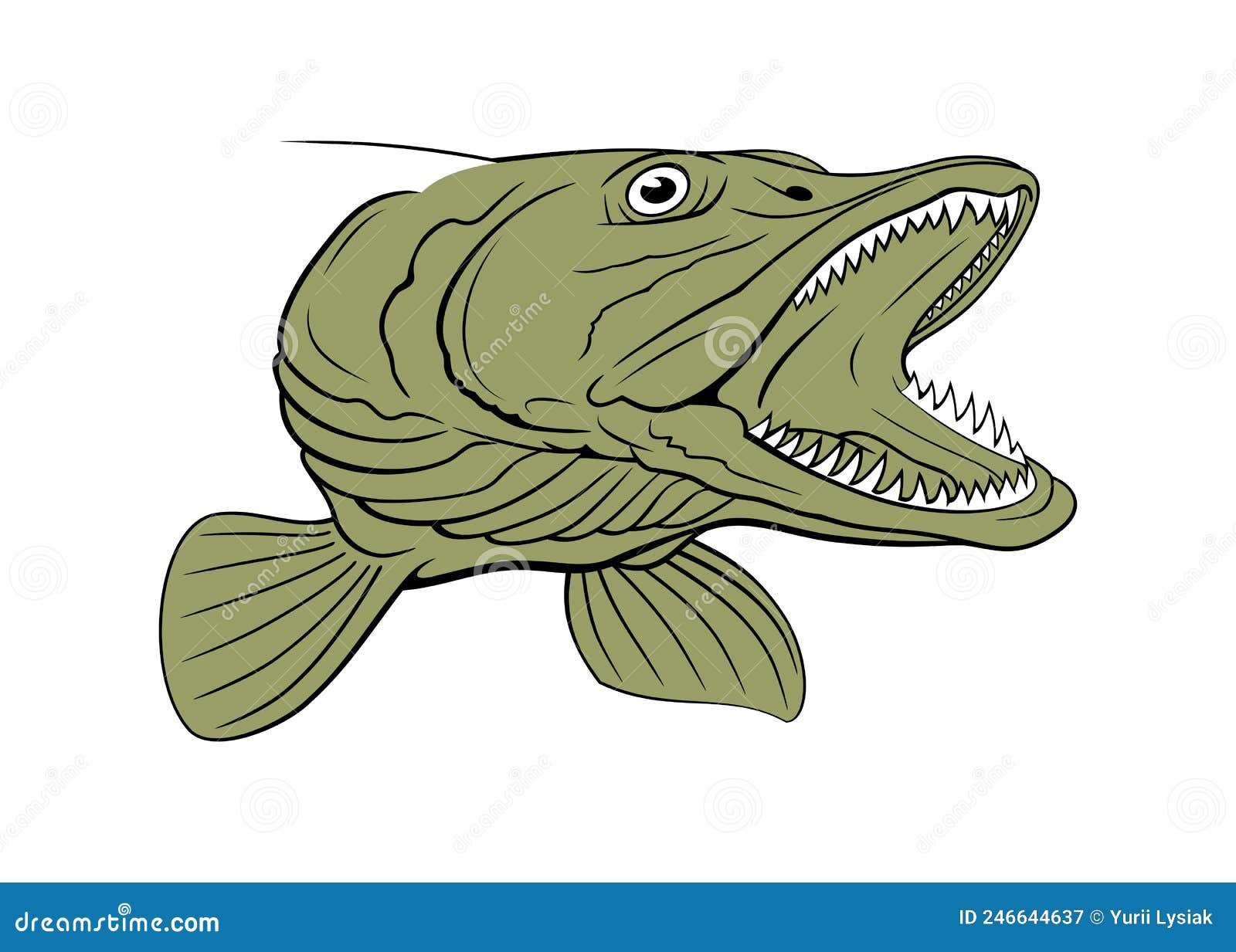 Pietkop. Viskop. Vectorclipart Vector Illustratie - Illustration of ...