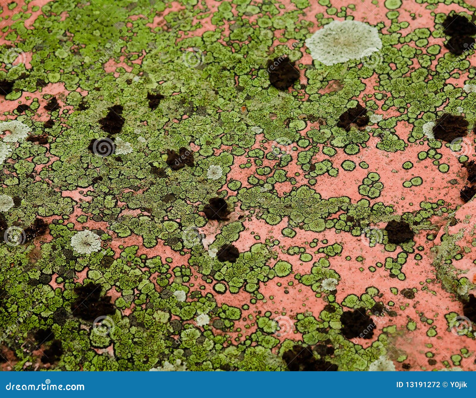 Pietra rossa con la muffa fotografia stock. Immagine di struttura ...