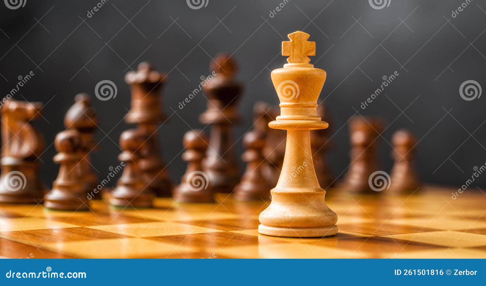 Piezas De Ajedrez En Un Tablero De Ajedrez Centradas En El Rey Foto de ...