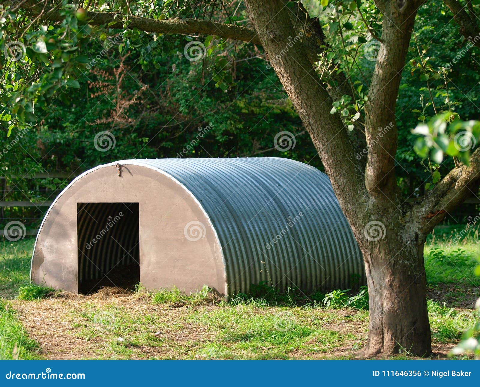 Pig Ark stock photo. Image of shelter, housing, house - 111646356
