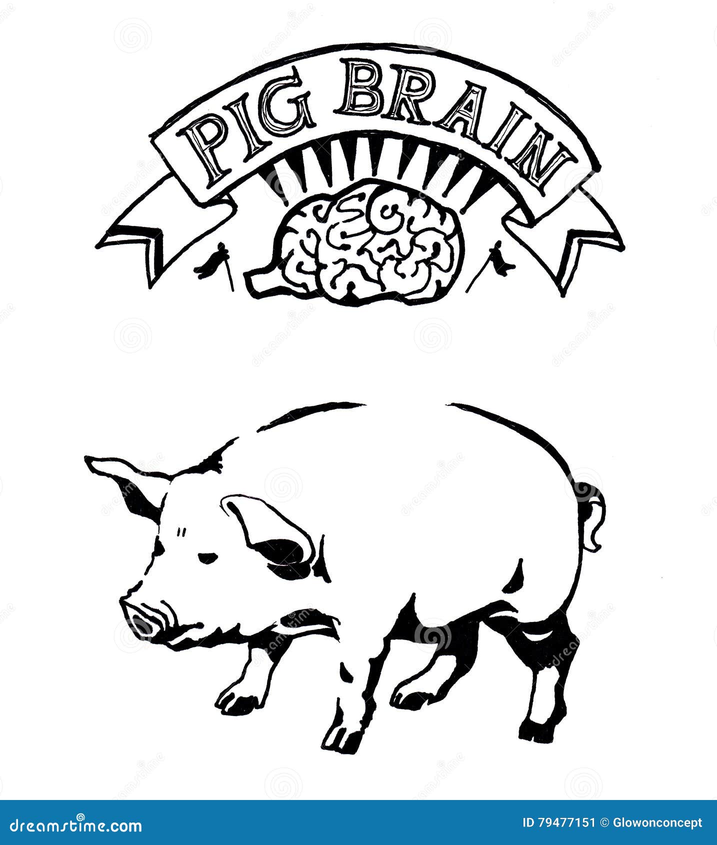 Pig Brain Hand Drawn Illustration. Art and Conceptual Metaphor Stock ...