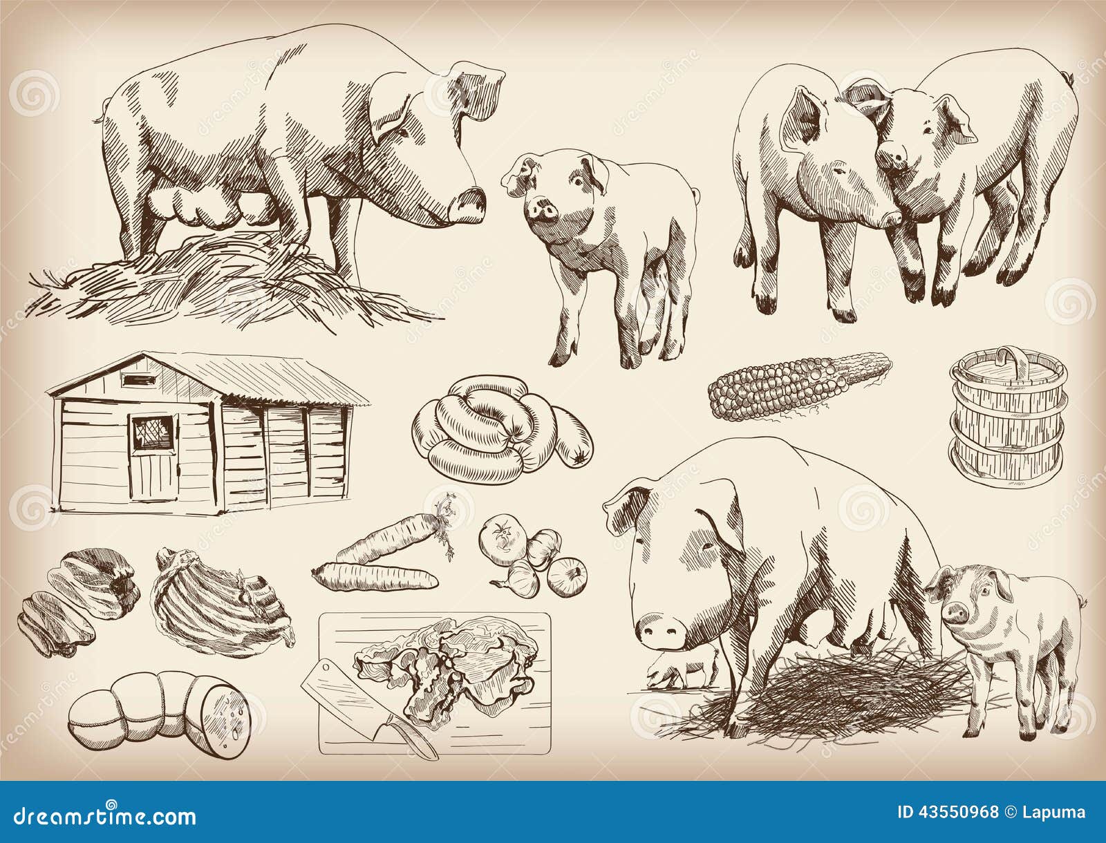 Pigbreeding Cartoons, Illustrations & Vector Stock Images - 8 Pictures ...