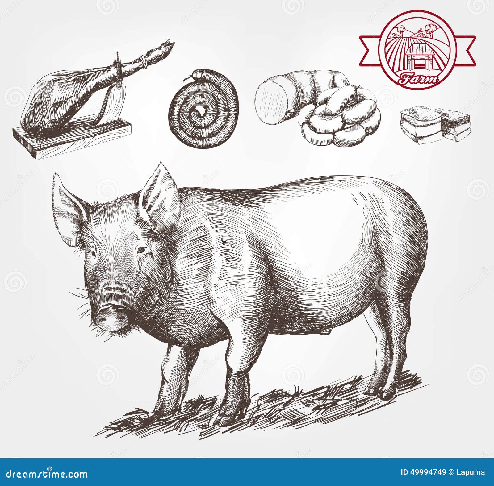 Pigbreeding Cartoons, Illustrations & Vector Stock Images - 8 Pictures ...