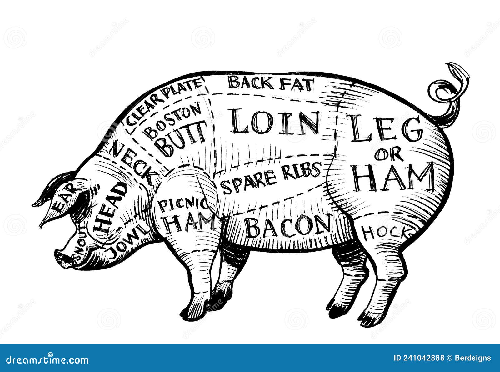 Pig Chart stock illustration. Illustration of meat, spare - 241042888
