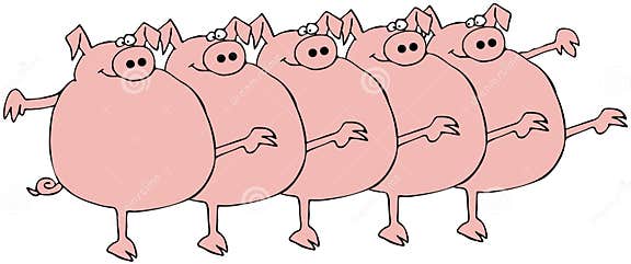 Pig Chorus Line stock illustration. Illustration of snout - 7525737