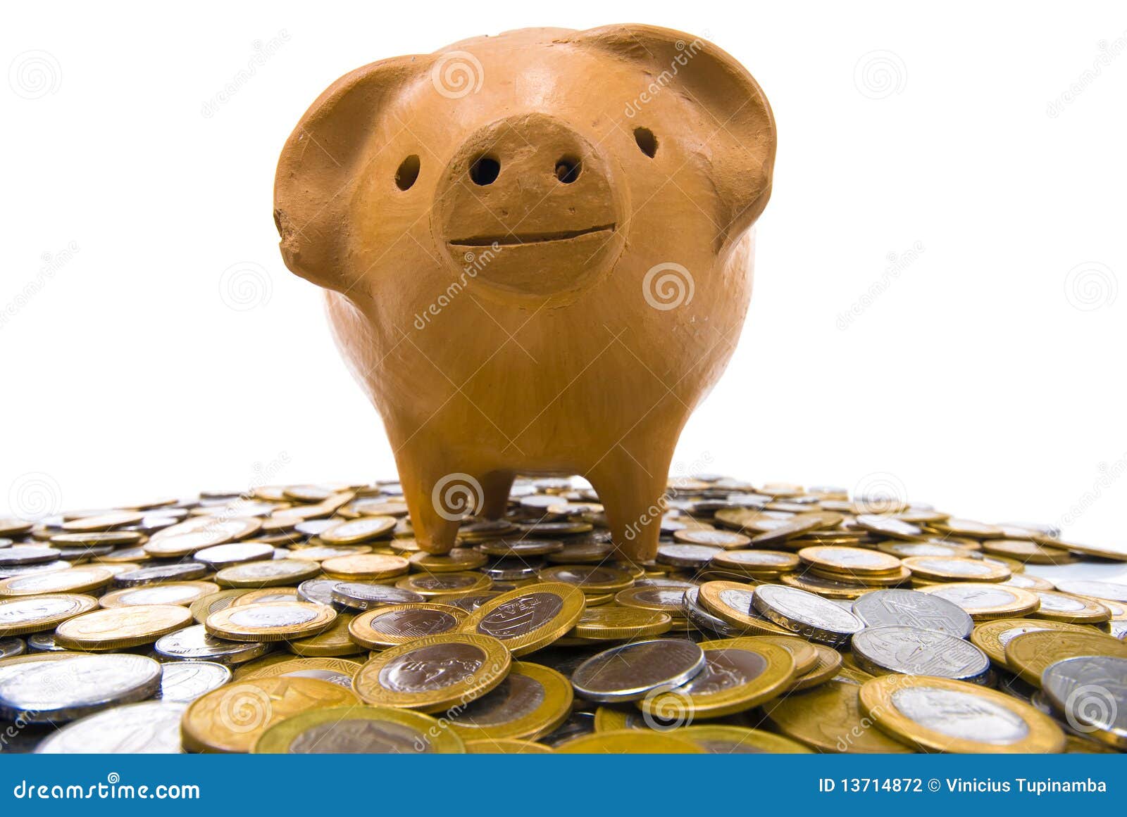 Pig Coin Bank stock photo. Image of saving, currency - 13714872