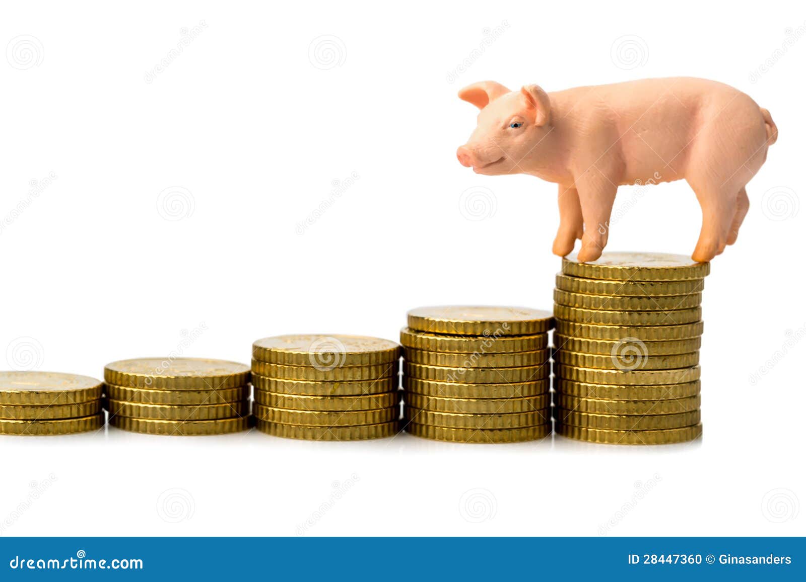 Pig on coins stock photo. Image of loss, livestock, cost - 28447360