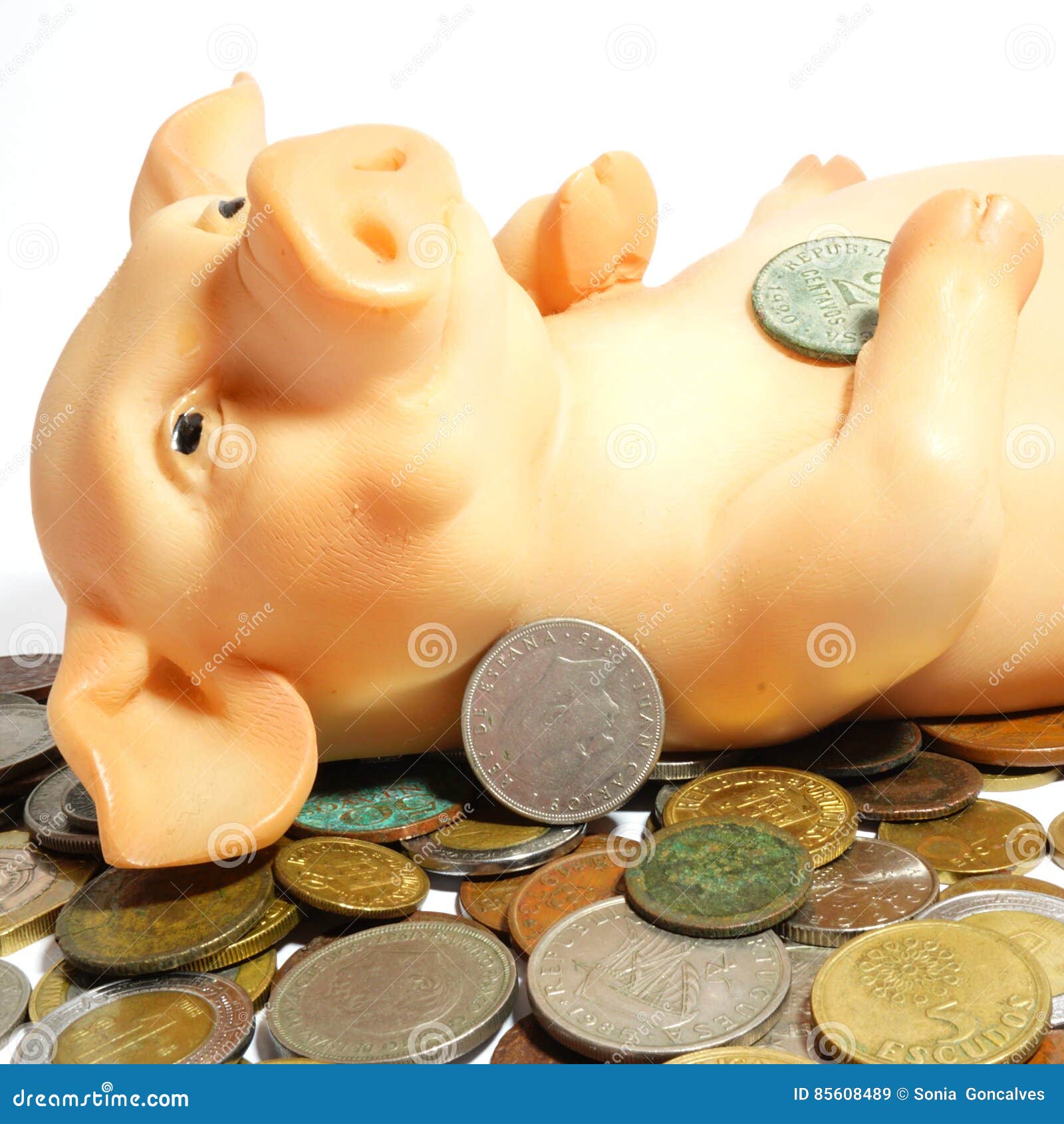 Pig with coins stock image. Image of cashier, financial - 85608489