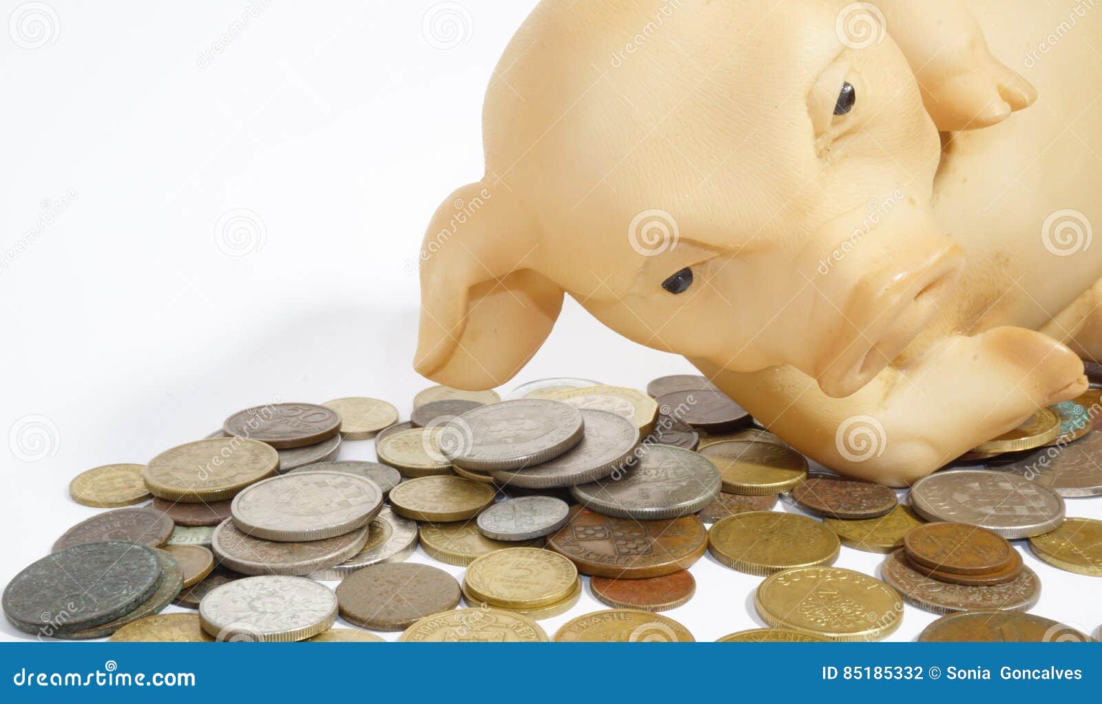 Pig with coins stock photo. Image of safe, piggy, banker - 85185332