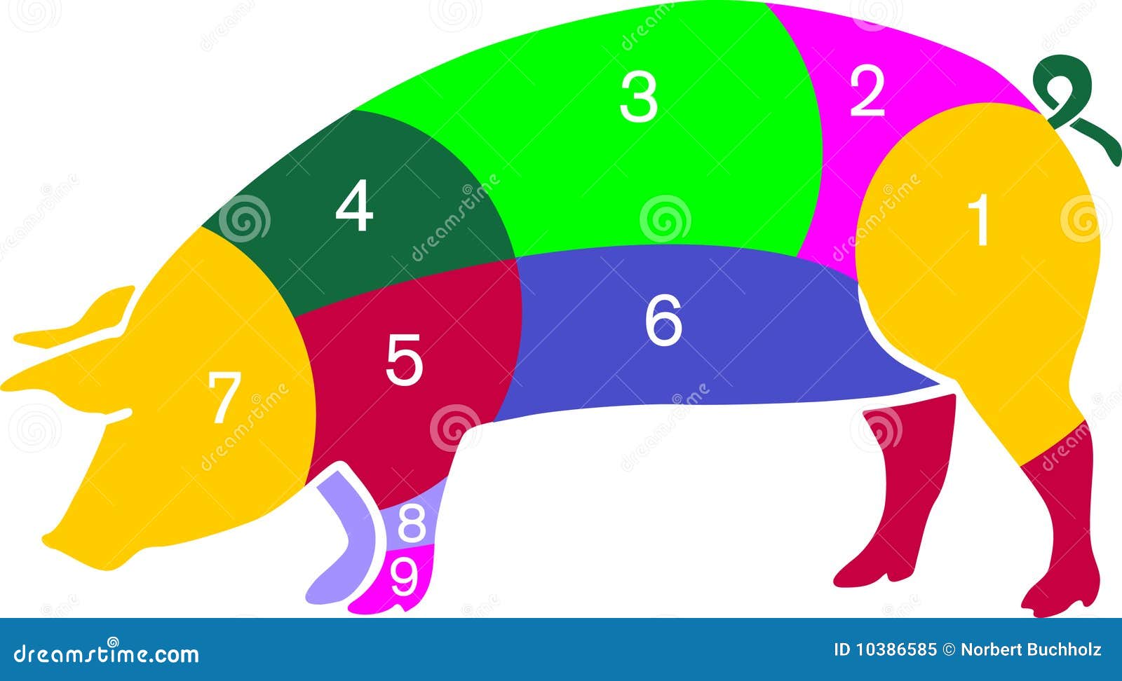 Pig color stock vector. Illustration of farmer, meat - 10386585