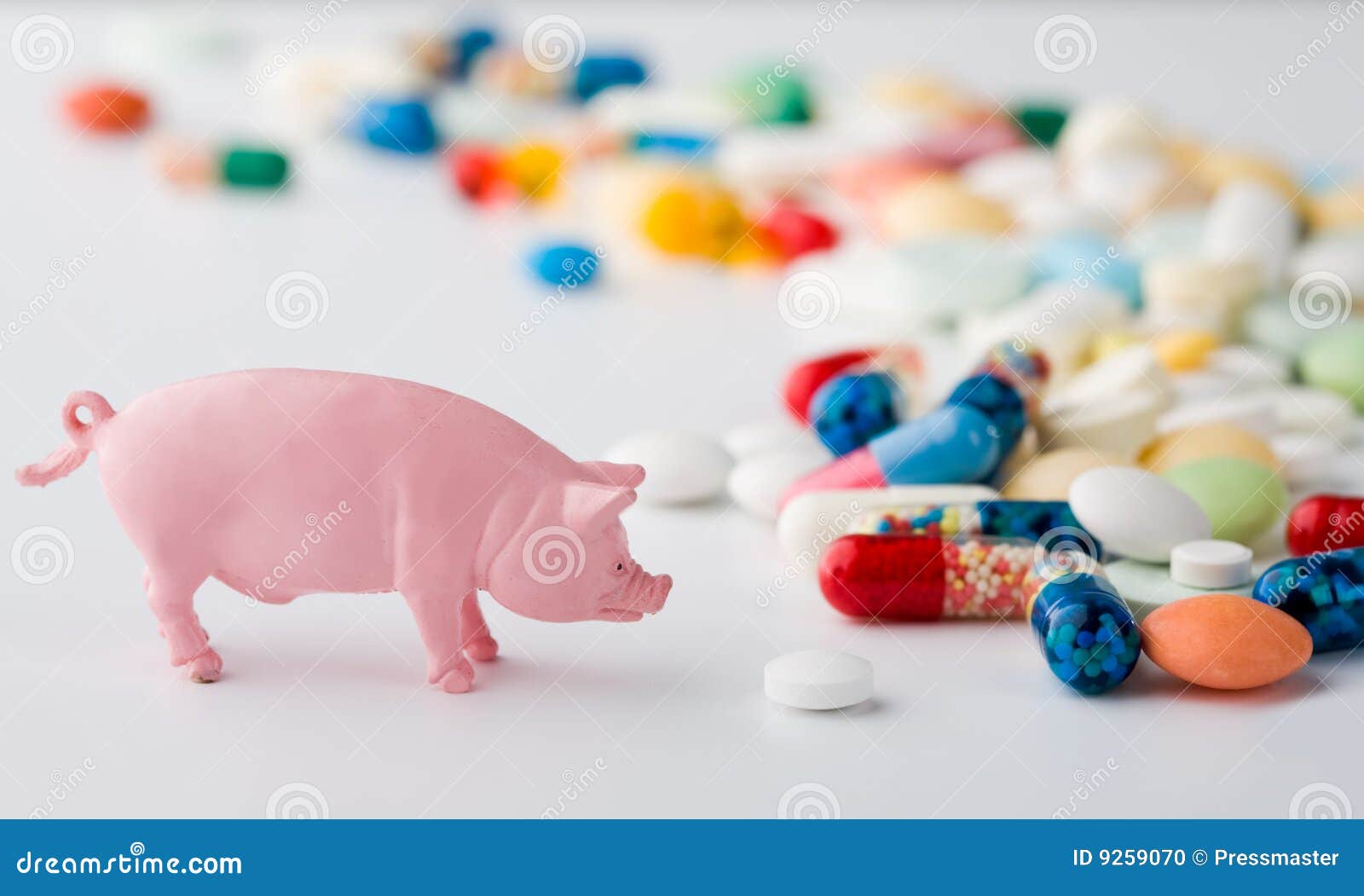 Pig flu remedy stock photo. Image of outbreak, farm, danger - 9259070