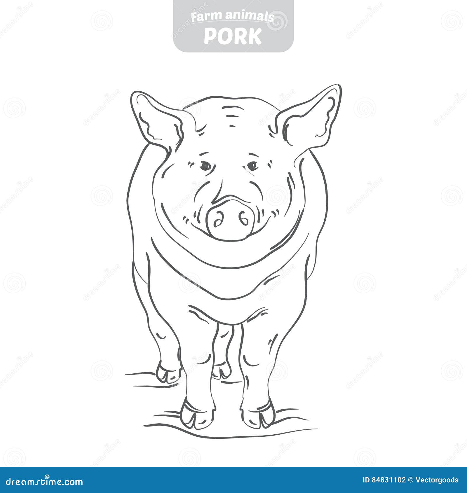 Pig Hand-drawn Vector Illustration. Stock Vector - Illustration of ...