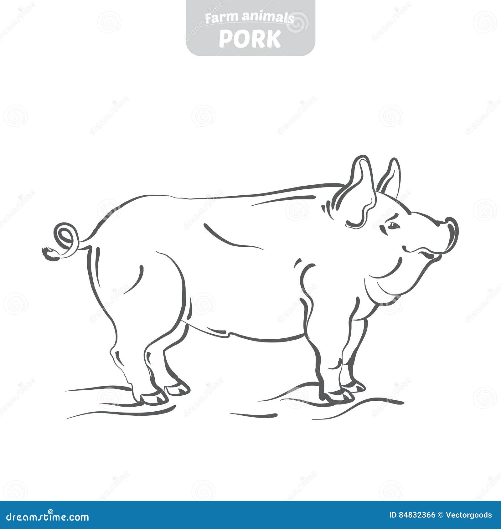 Pig Hand-drawn Vector Illustration. Stock Vector - Illustration of ...