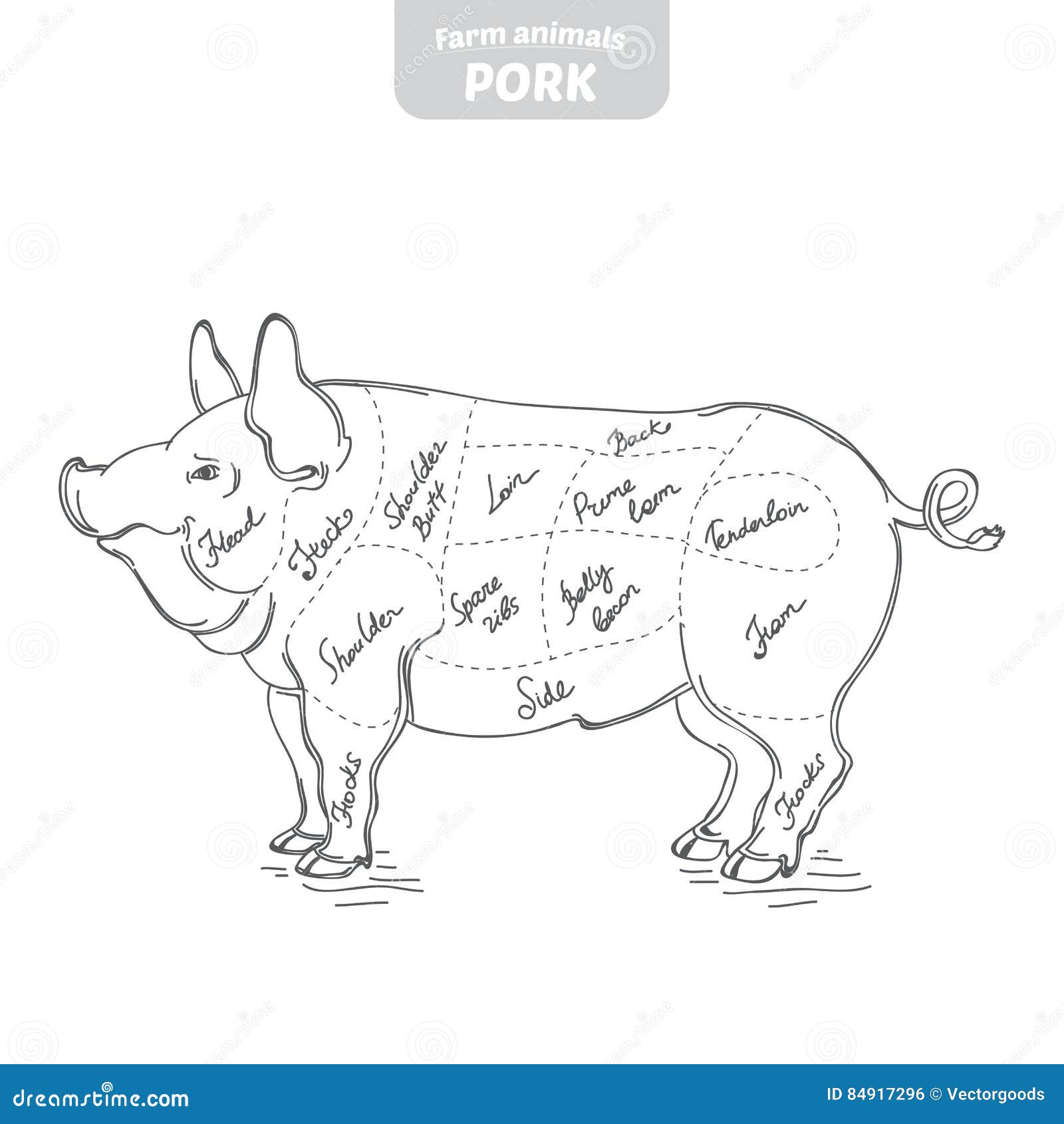 Pig Hand-drawn Vector Illustration. Stock Vector - Illustration of ...
