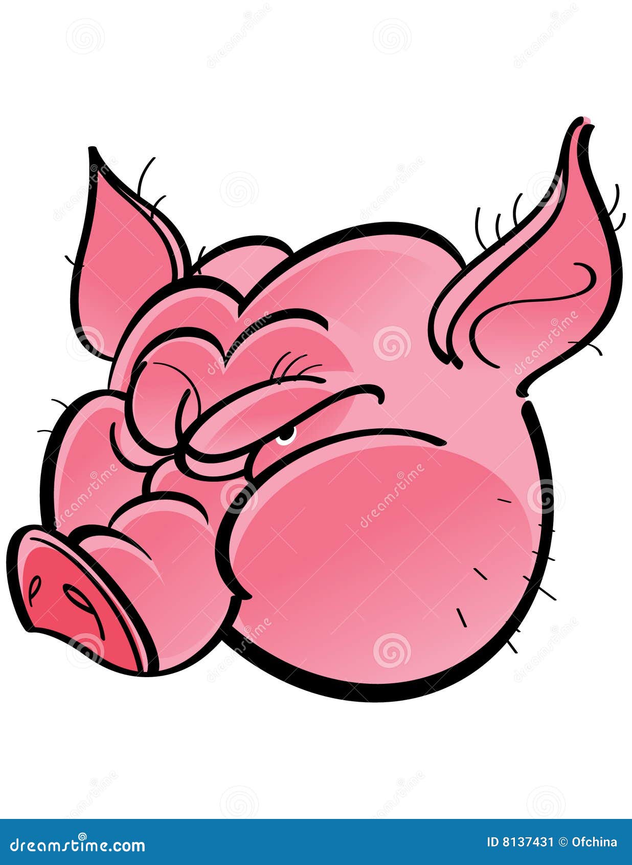 Pig Head stock vector. Illustration of meat, beast, large - 8137431