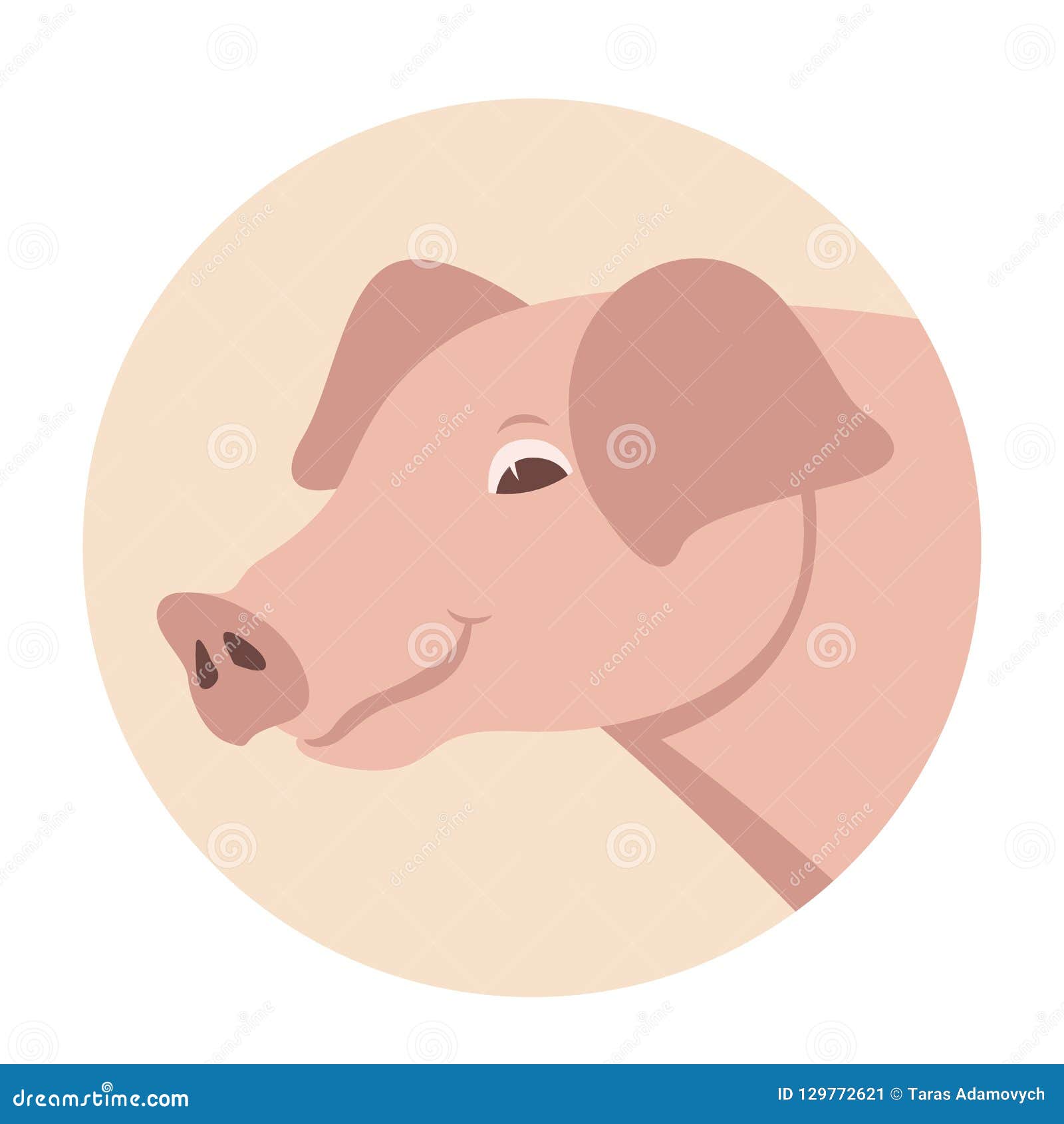 Pig Head Vector Illustration Flat Style Front Stock Vector ...