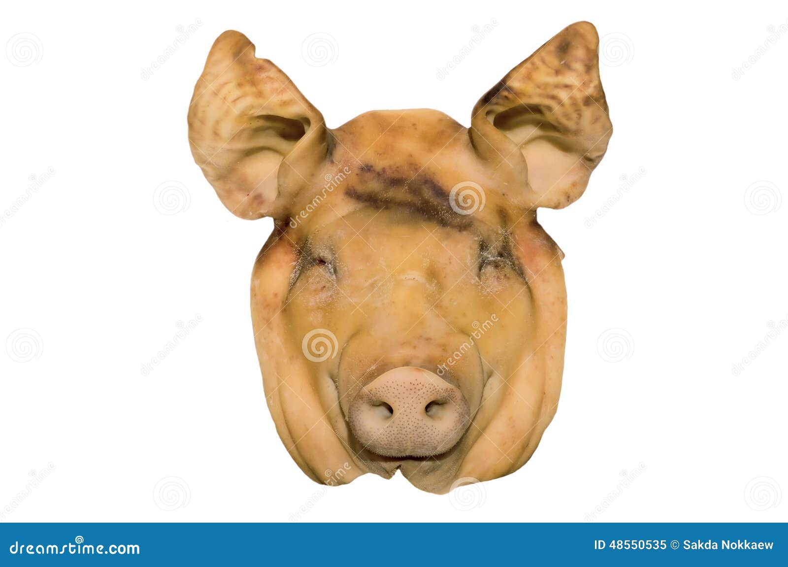 Pig stock image. Image of kill, dead, food, pork, farmer - 48550535