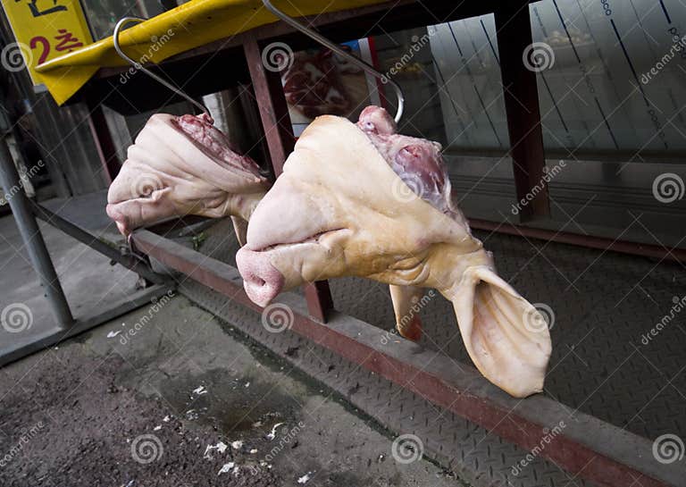 Pig heads stock photo. Image of sold, sell, street, outside - 15048270