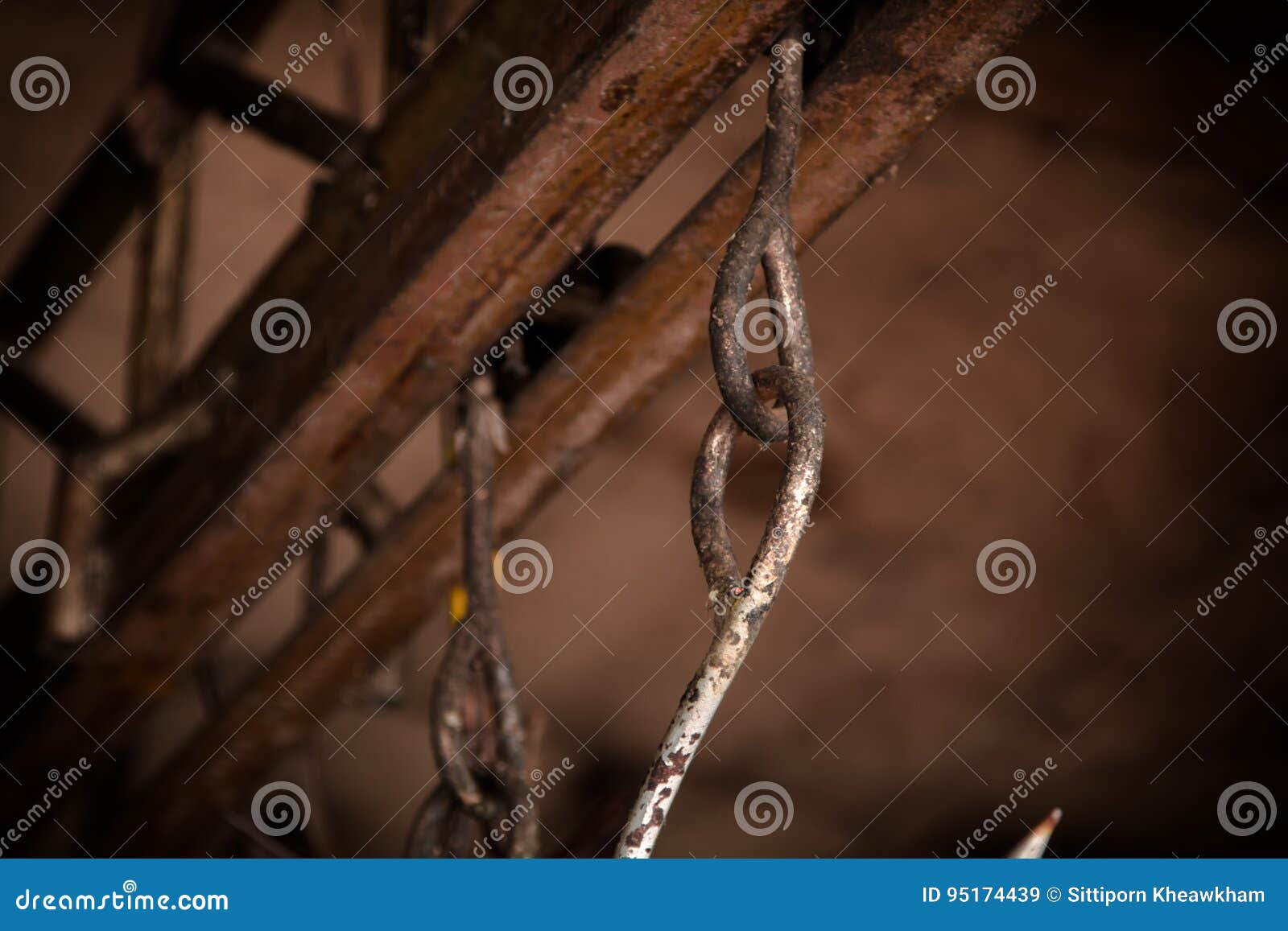 Pig Hook in slaughterhouse stock image. Image of food - 95174439