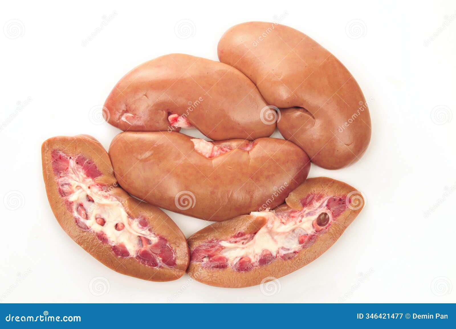 Pig Kidney on a White Background Stock Illustration - Illustration of ...