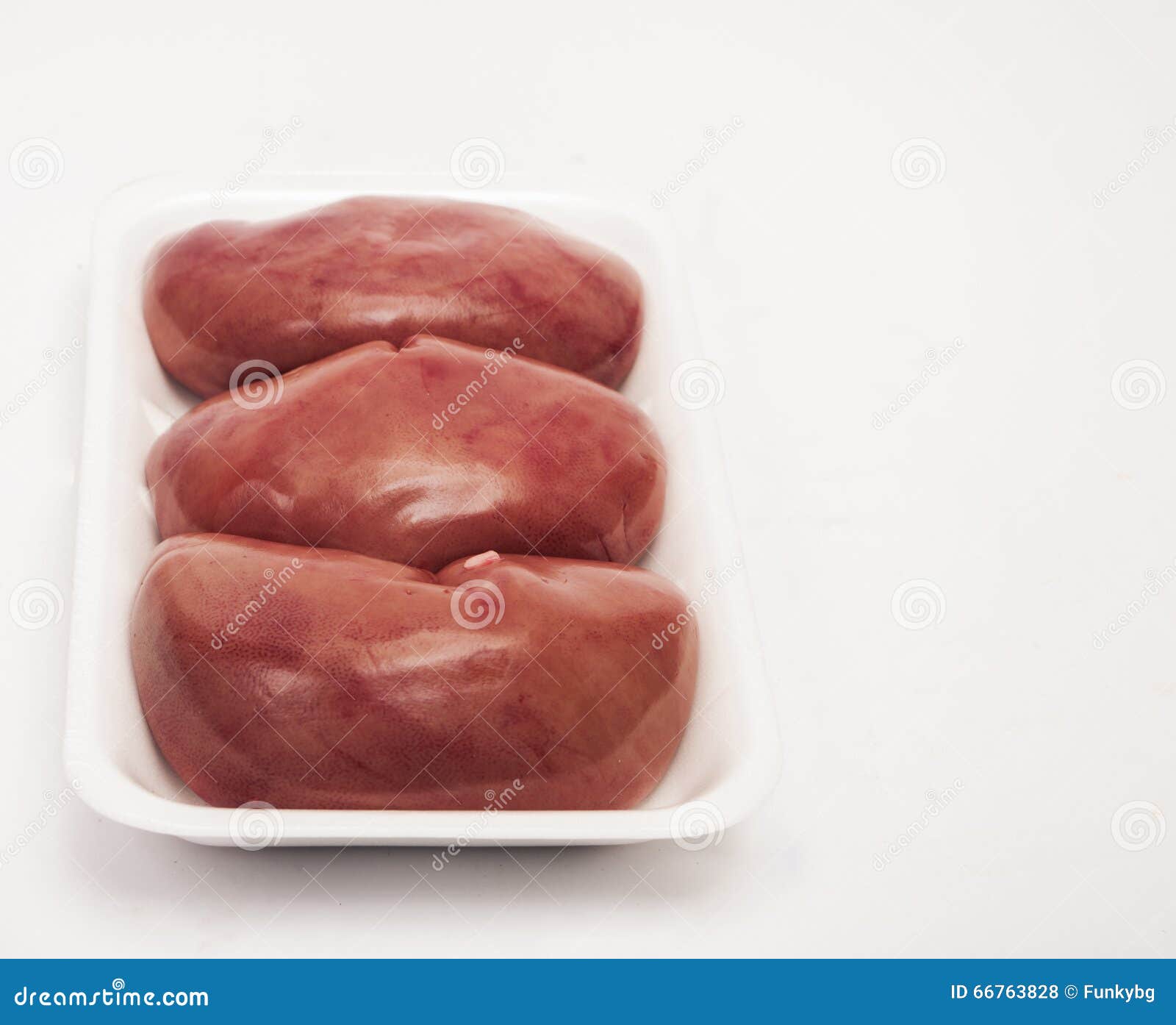 Pig kidney stock photo. Image of ronny, visceral, physiology - 66763828