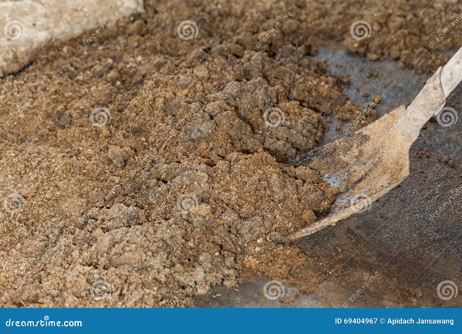 Pig Manure Was a Lap Out of the Stall. Stock Image - Image of natural ...