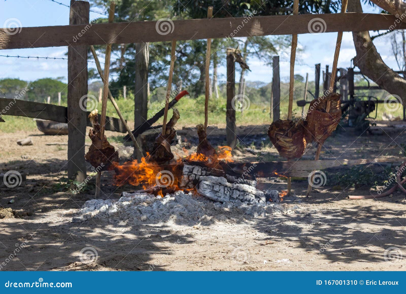 Pig meat on the fire stock photo. Image of coast, nature - 167001310