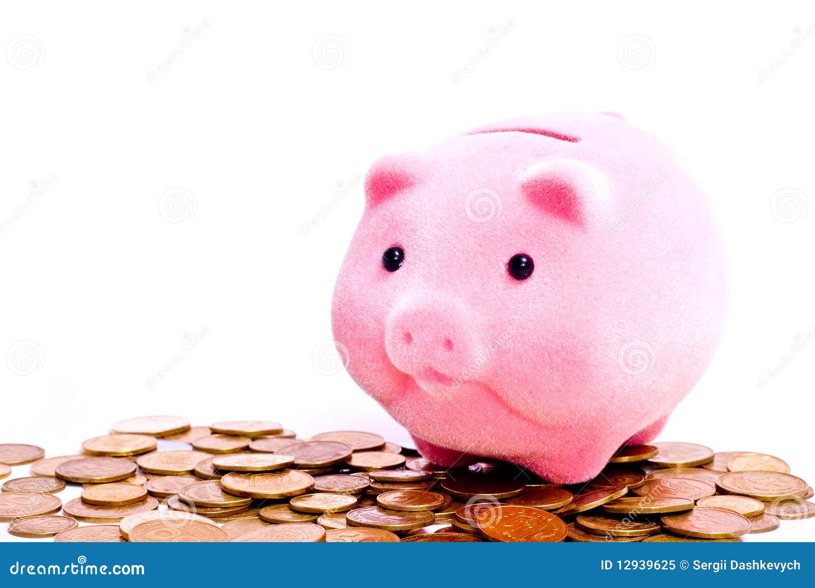 Pig on money stock image. Image of nickel, group, earnings - 12939625