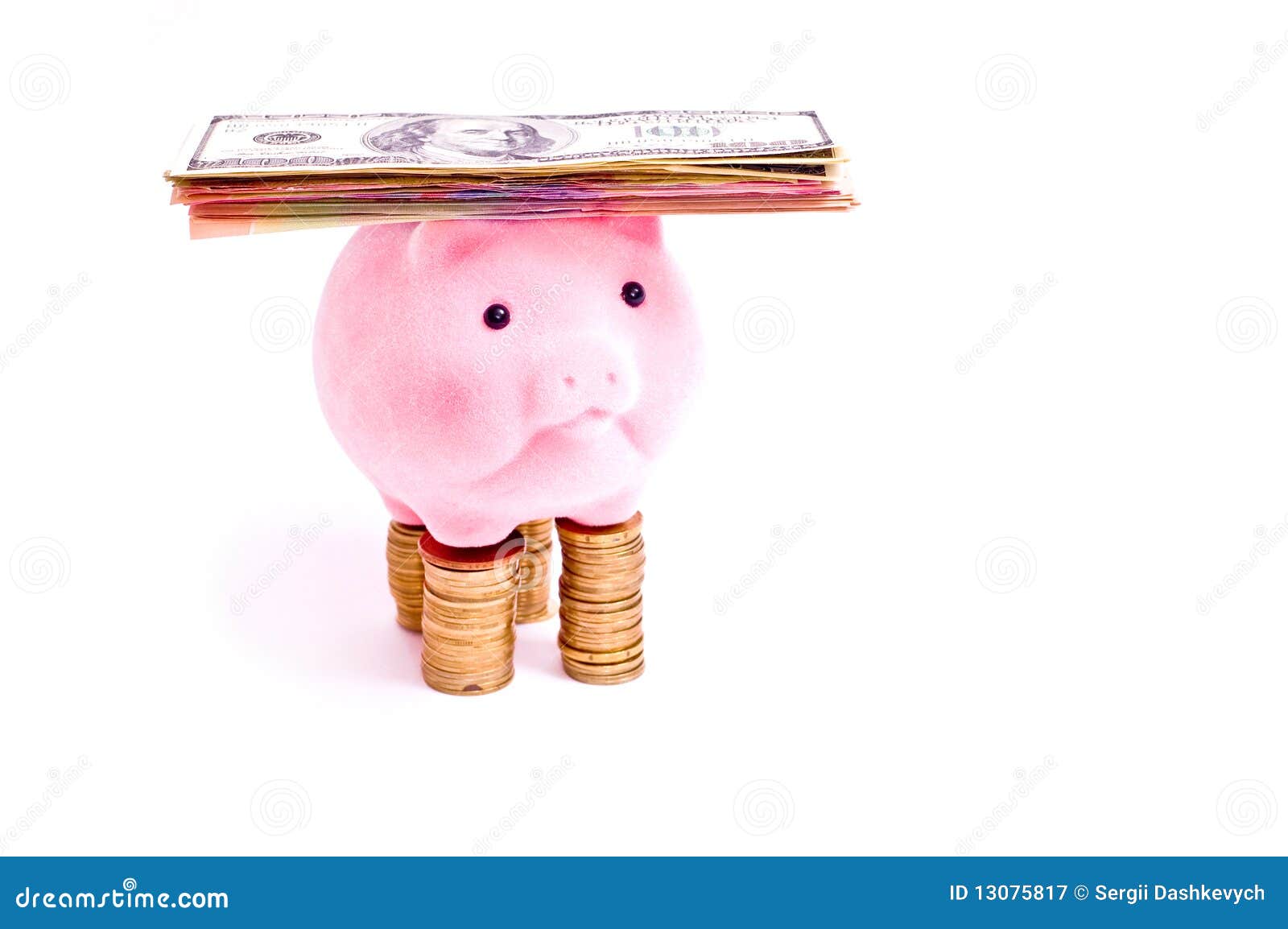 Pig with money stock image. Image of isolated, heap, ideas - 13075817