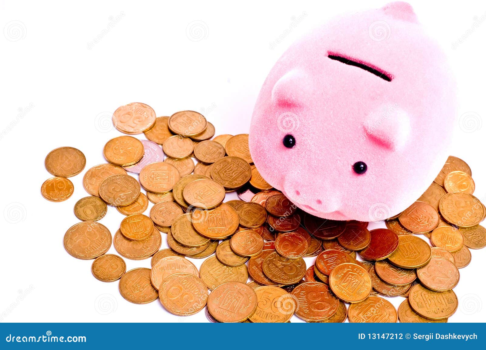 Pig on money stock photo. Image of animal, ideas, investment - 13147212