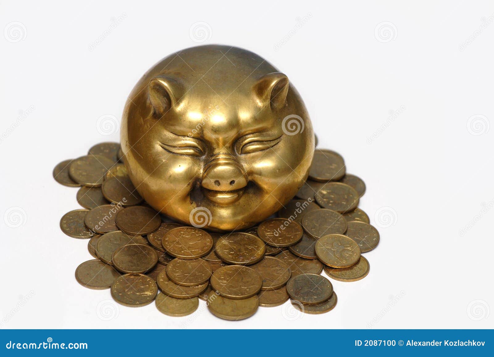 Pig and money_16 stock photo. Image of wealth, golden - 2087100