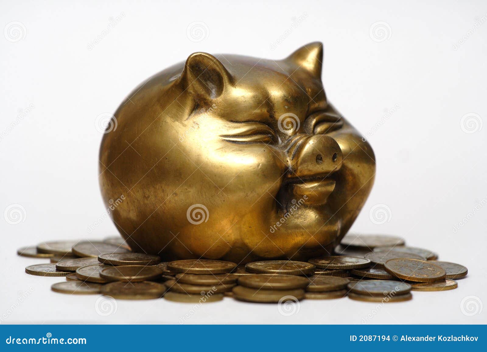 Pig and money_18 stock photo. Image of money, metal, symbol - 2087194
