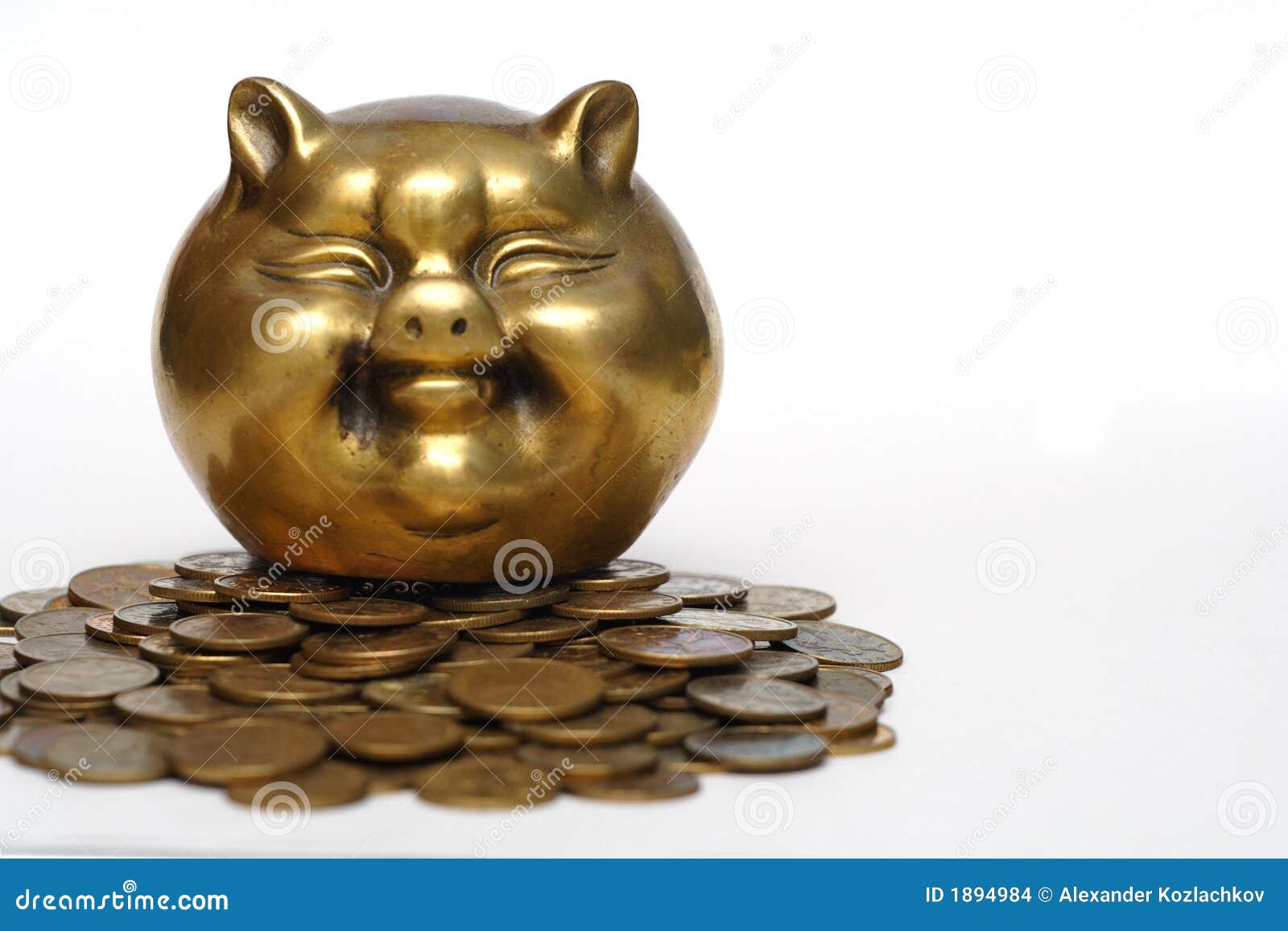 Pig and money stock photo. Image of wealth, cent, savings - 1894984
