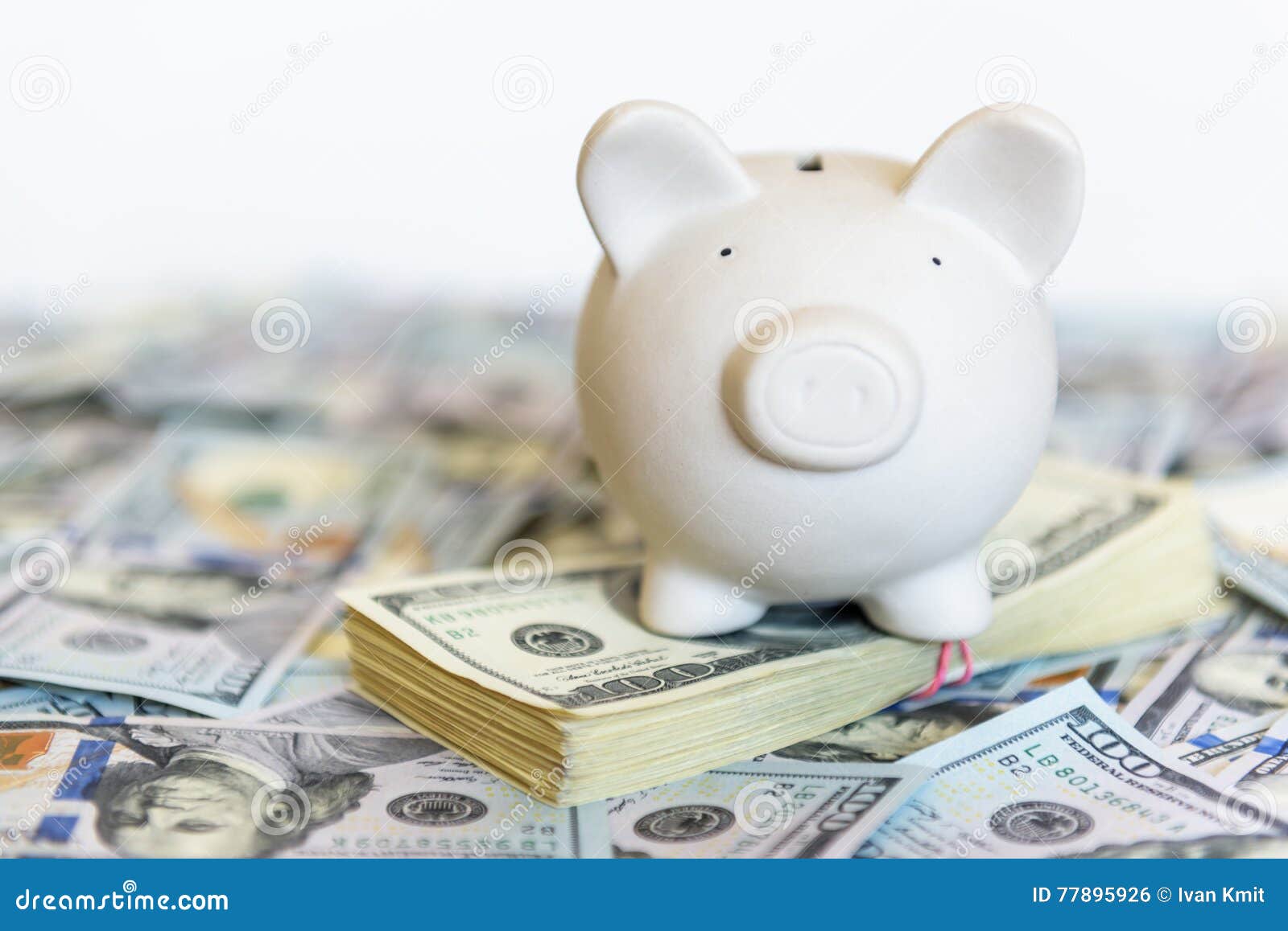 Pig stock photo. Image of save, finance, economy, money - 77895926