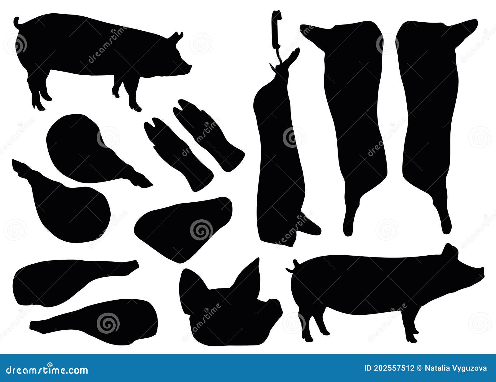 Pork Pig Carcass Cut Parts Info Graphics Scheme Sign Poster Butchers ...