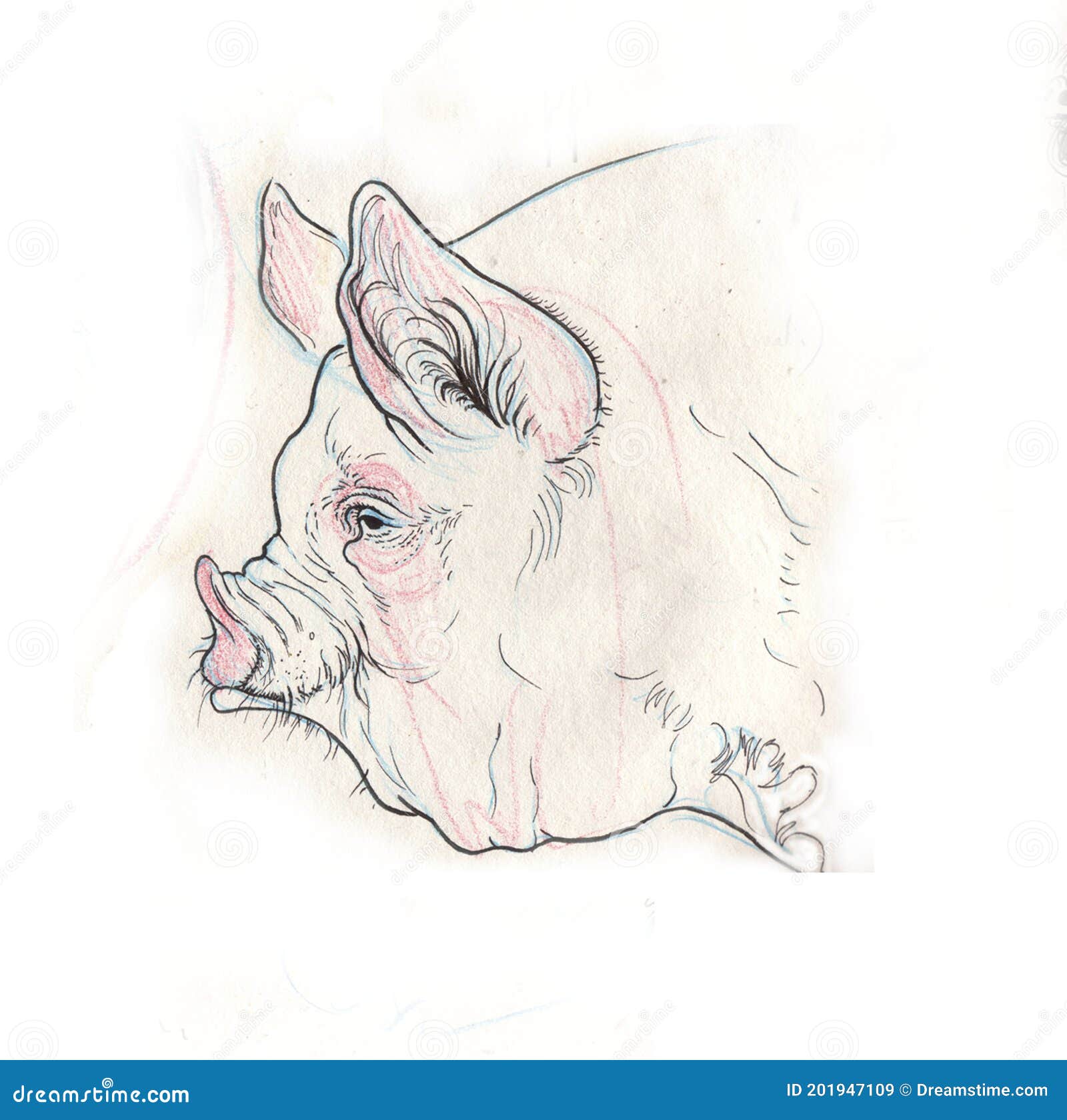 Pig in profile stock illustration. Illustration of white - 201947109