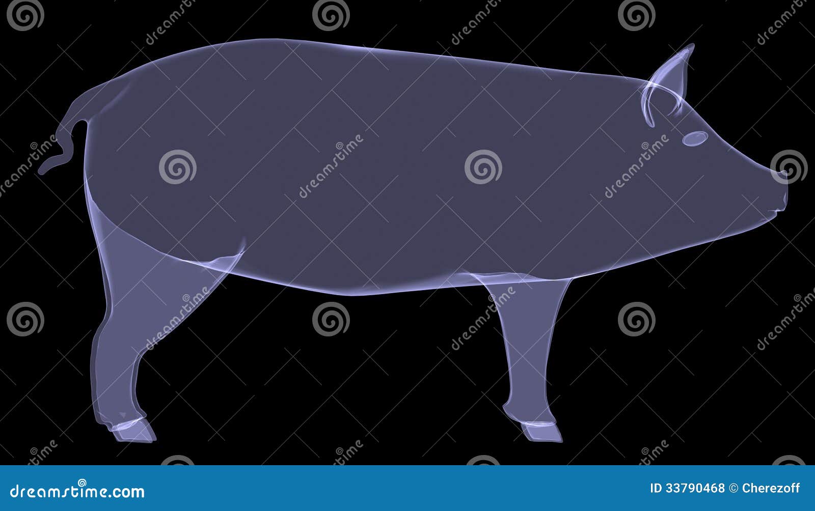 Pig. the X-ray render stock illustration. Illustration of technology ...