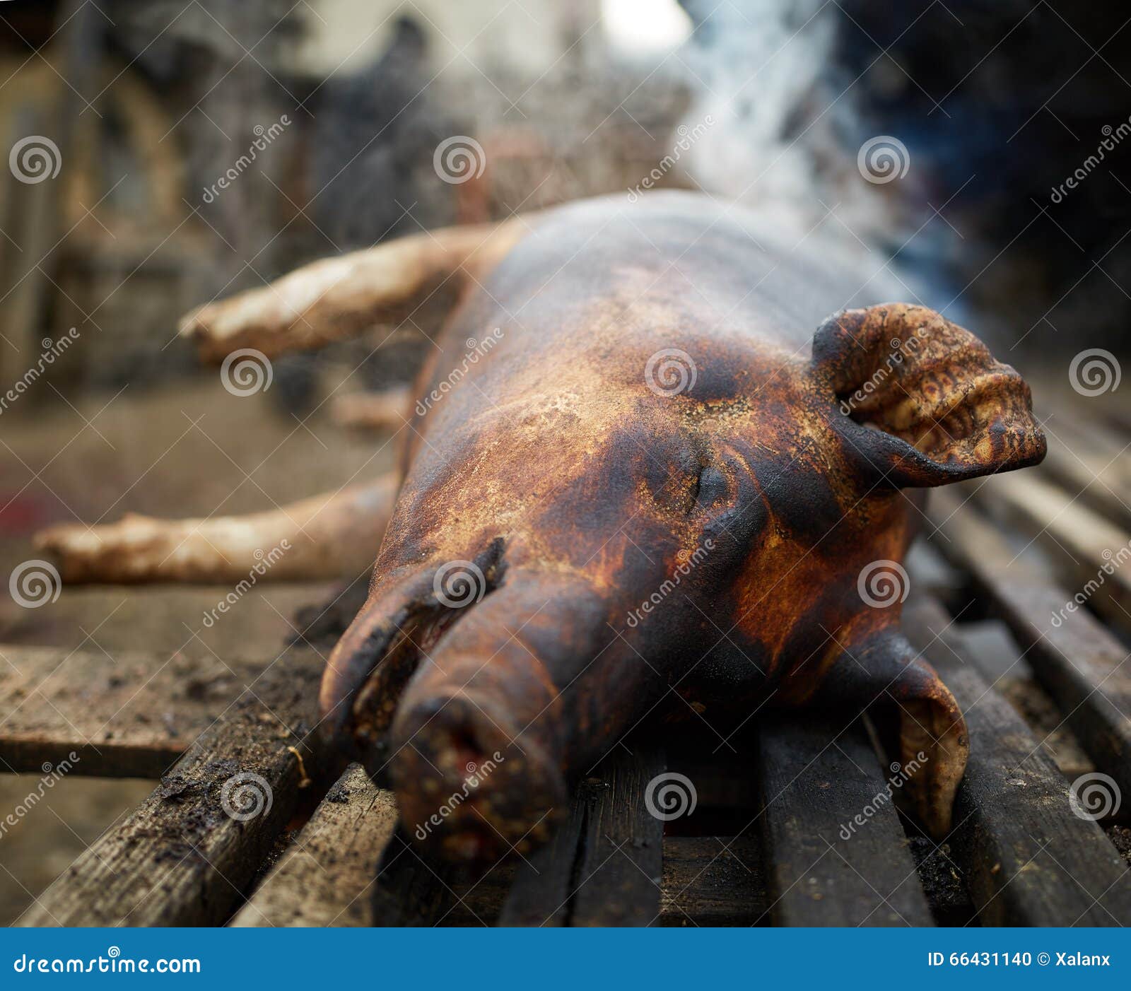 Pig ready to be butchered stock photo. Image of food - 66431140