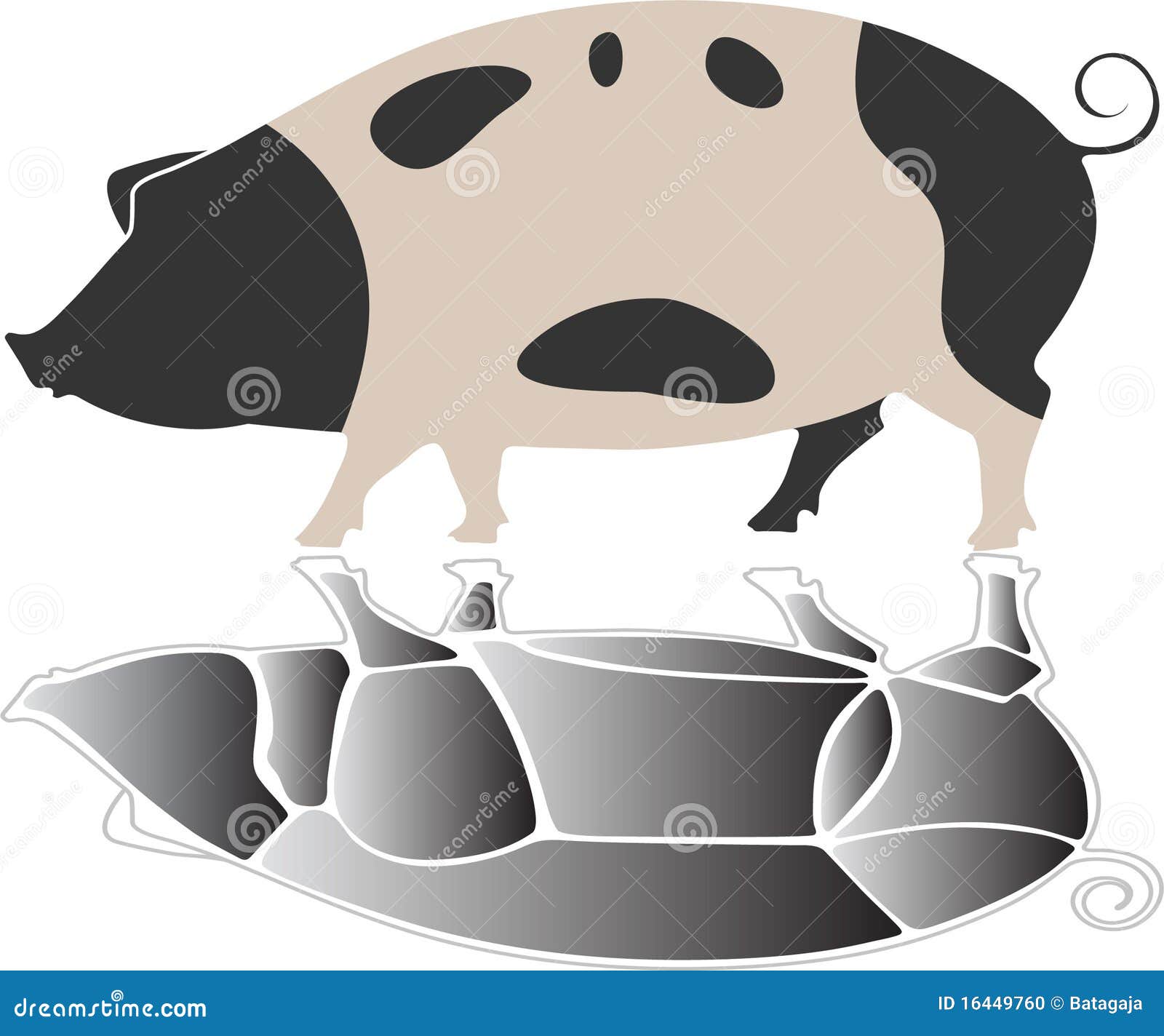 Pig with reflection stock illustration. Illustration of swine - 16449760