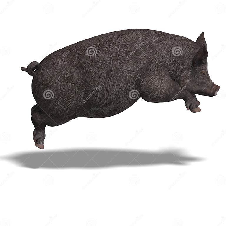 Pig render stock illustration. Illustration of object - 9569079