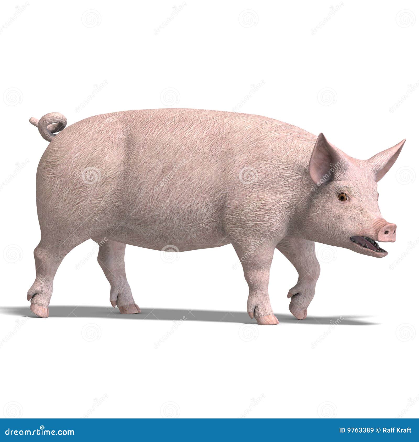Pig render stock illustration. Illustration of isolated - 9763389