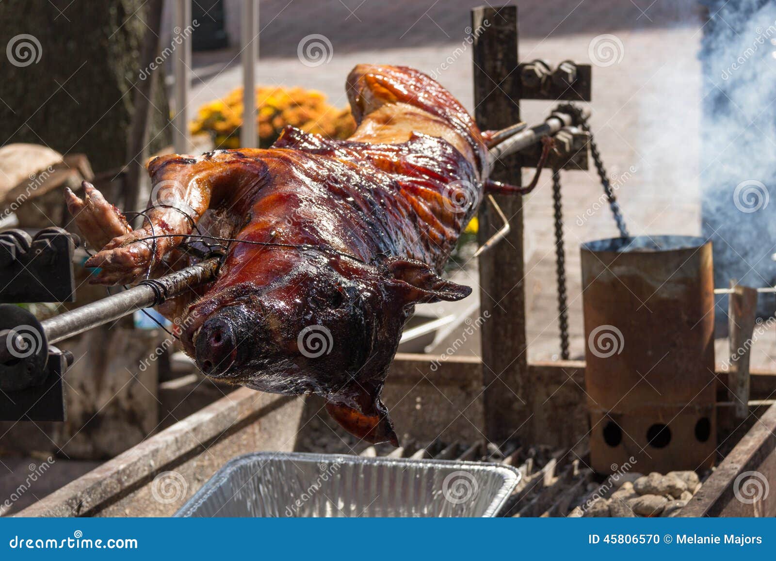 Pig roast stock photo. Image of pork, rotisserie, machine - 45806570